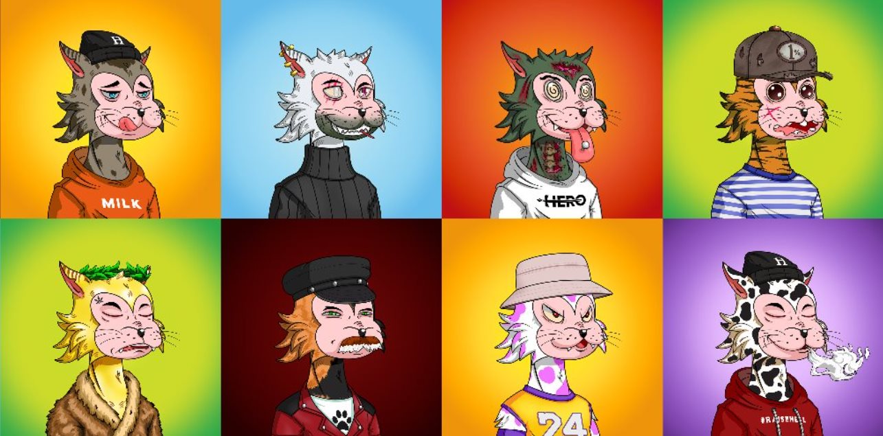 The Pudcast Ep 3: Hellcats NFT – TerraSpaces