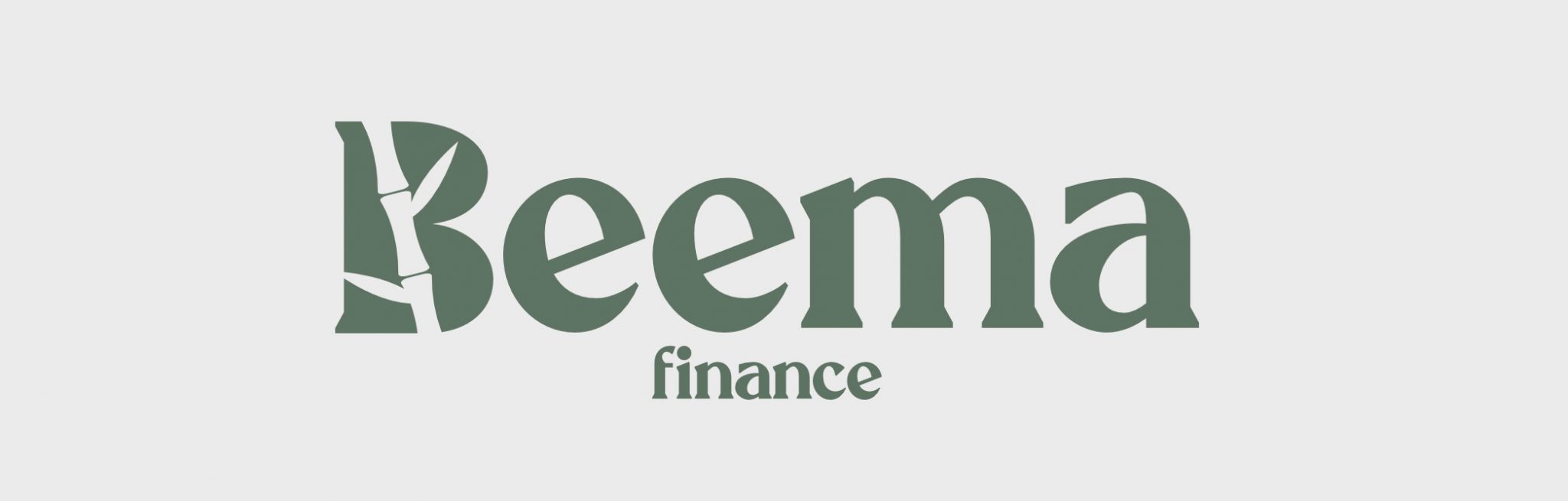 Beema Finance – TerraSpaces