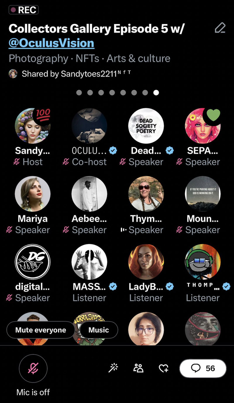 Collectors Gallery Ep 5 with OculusVision – TerraSpaces